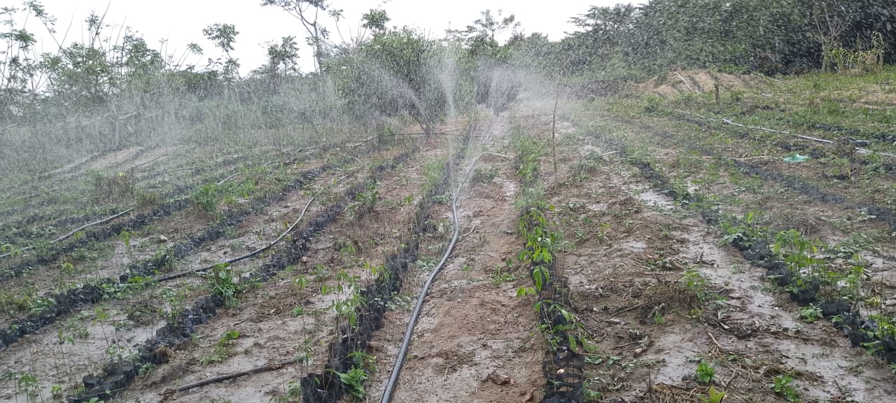GREEN AGRO VALLEY CI
